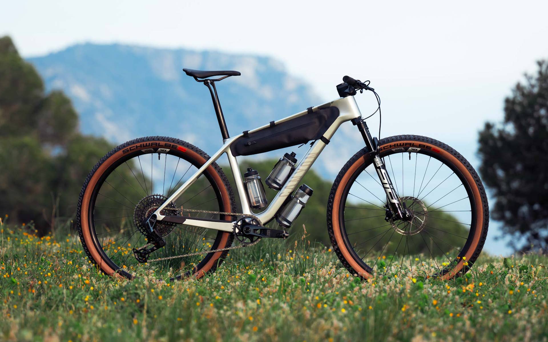 Can Canyon's New Hardtail Exceed Lineup Take On Full-Suspension XC ...