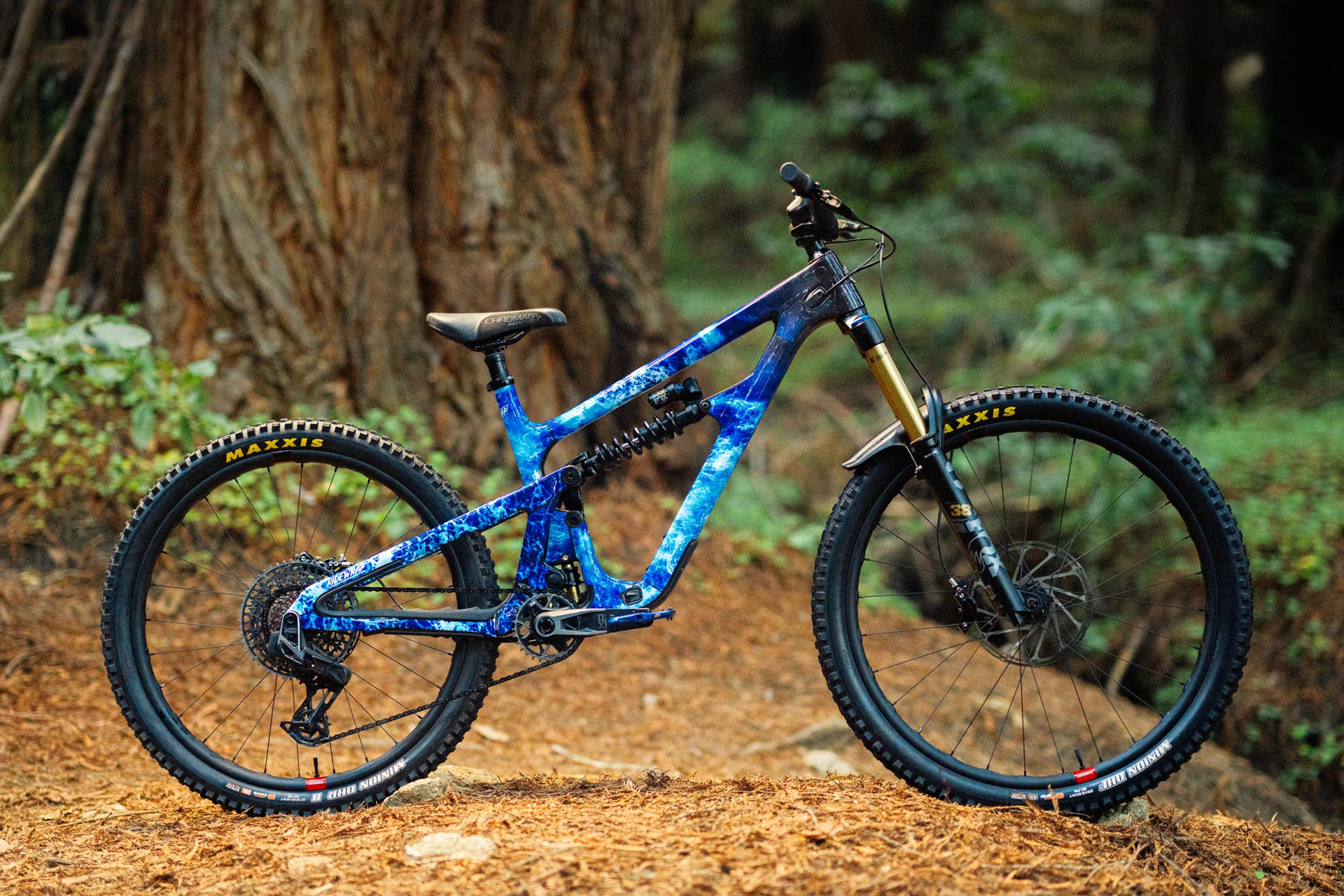 Santa Cruz Dirt Surfing: Mountain Biking the Waves - BikeMag