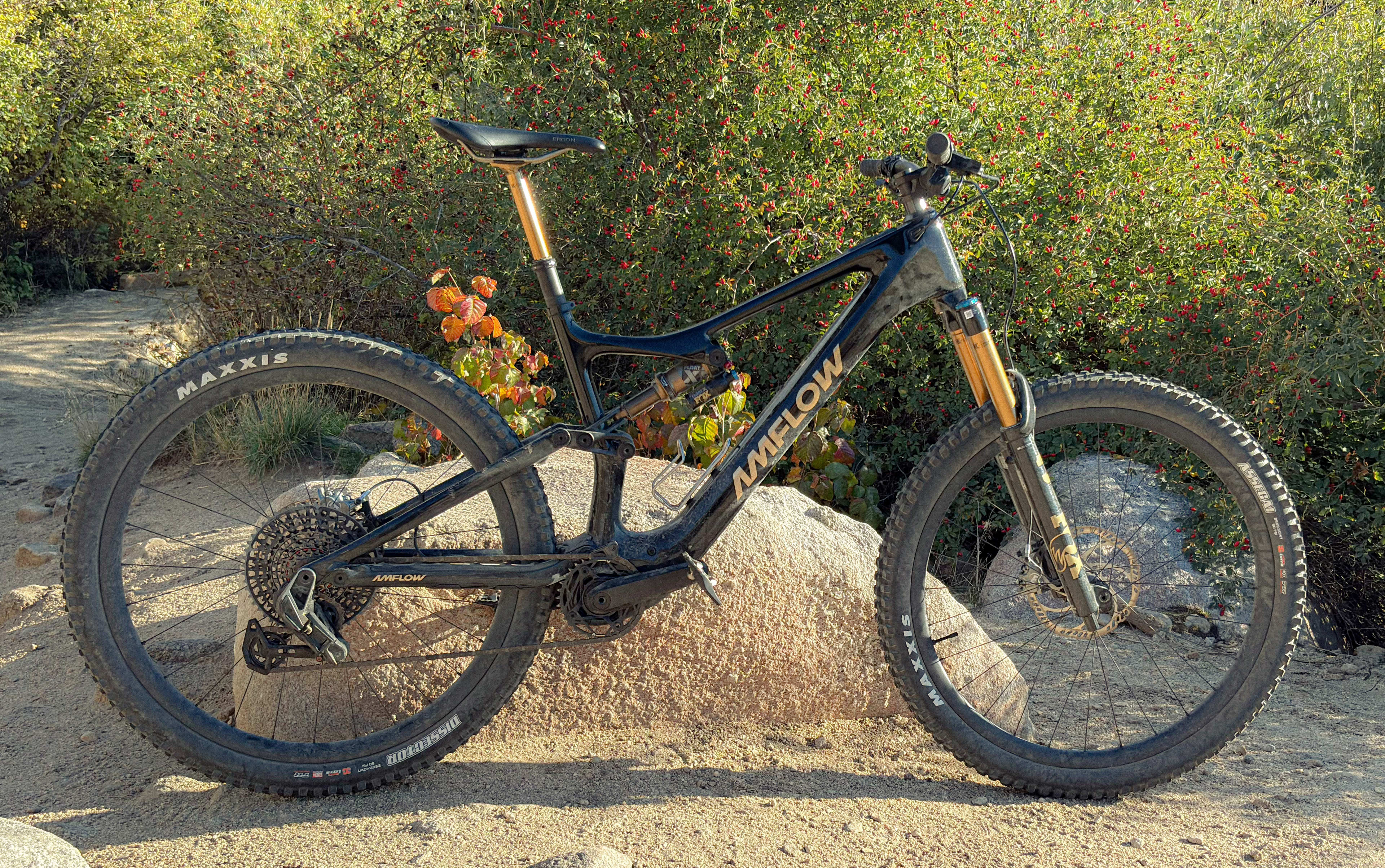Amflow eMTB First impressions: 200 Miles Later - BikeMag