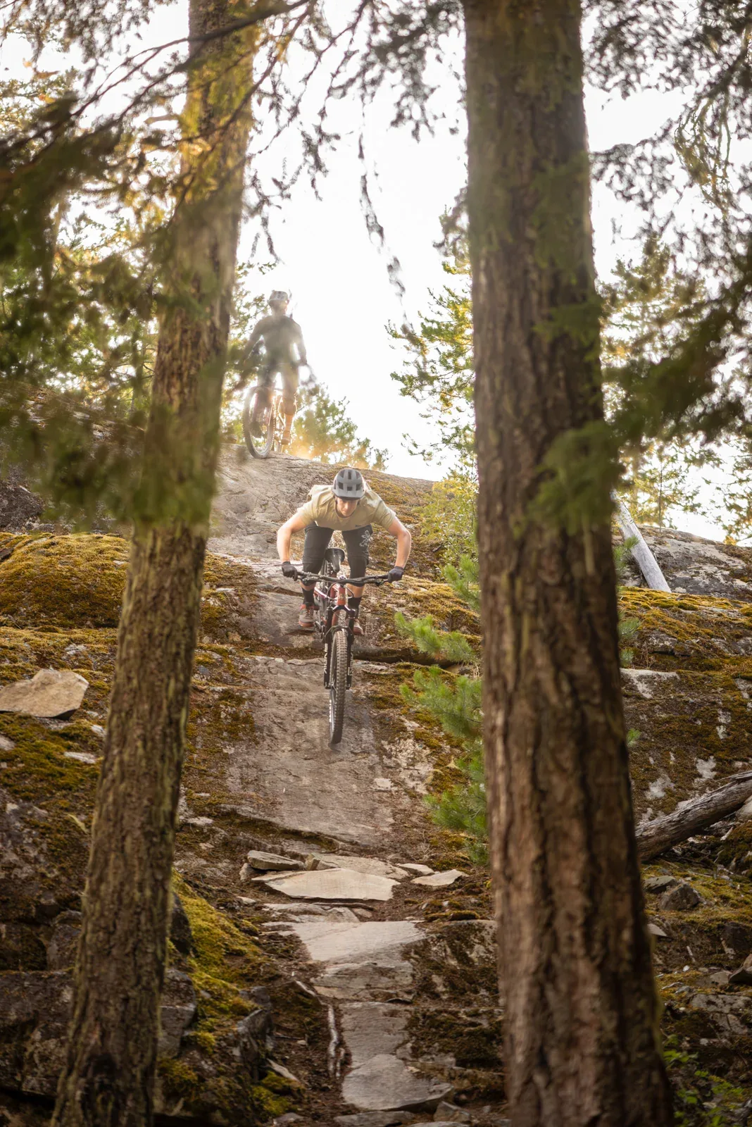 The Steel Bike That’s Easy to Love and Ride - BikeMag