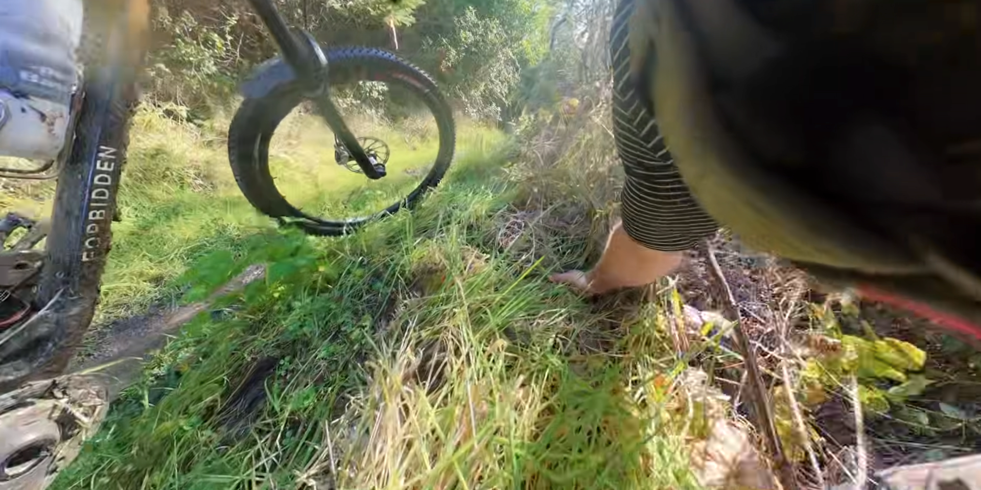 Internet Clues Hint at Forbidden’s Possible XC Bike - BikeMag